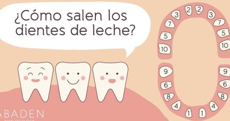Los dientes de leche: cuándo salen y cuándo caen