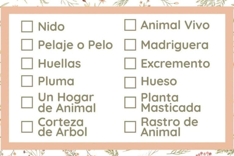 Crea pistas emocionantes para búsquedas del tesoro para niños