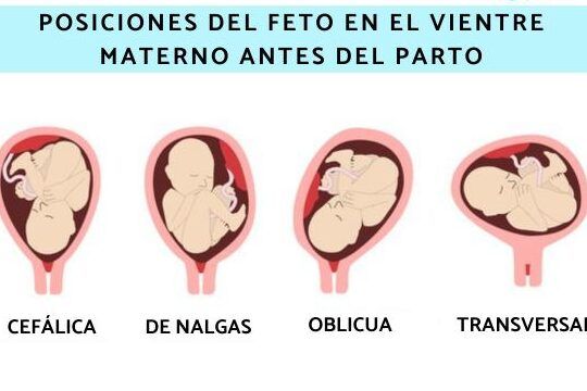 Posiciones feto en vientre materno: guía embarazo